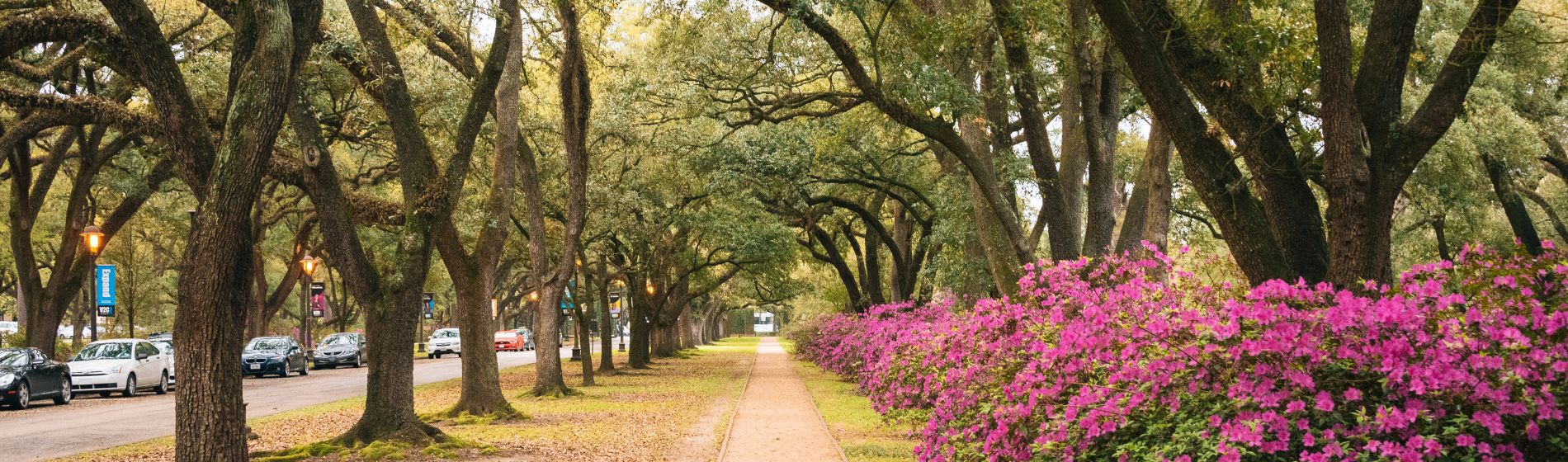 Aliana - Richmond, TX Homes For Sale