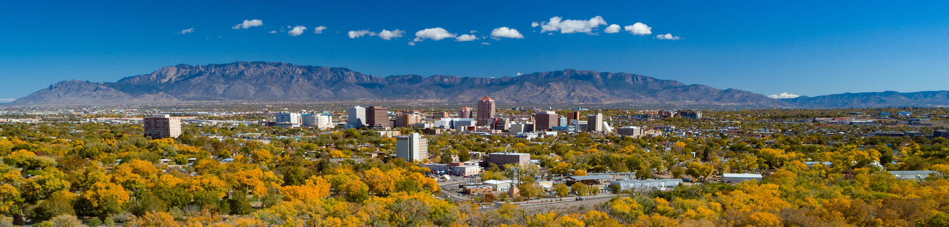 Albuquerque Real Estate - Homes for Sale in Albuquerque