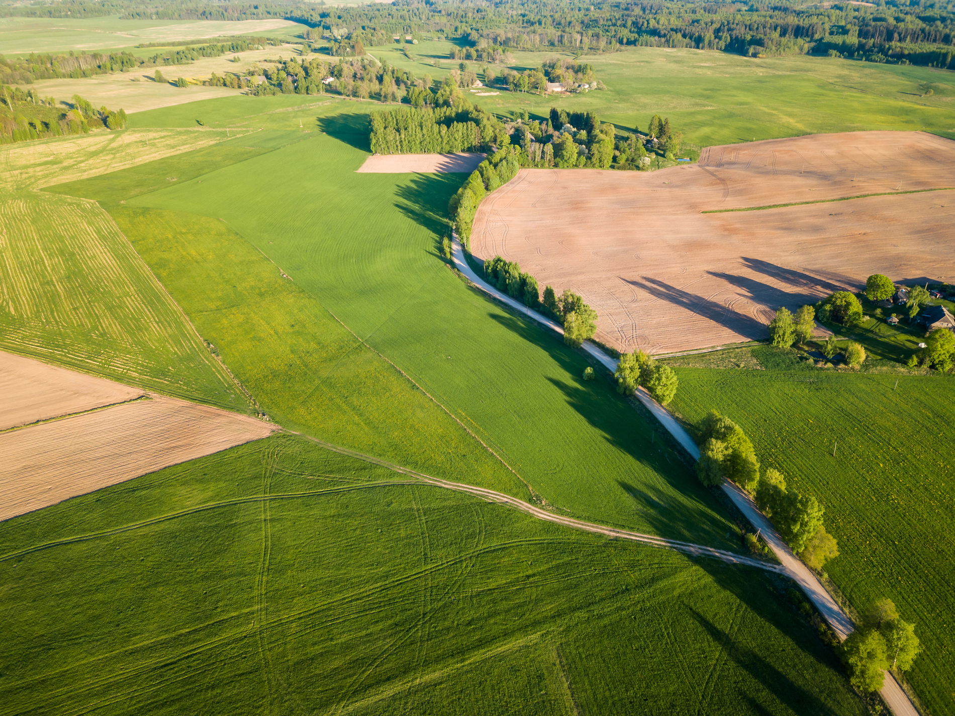 South Carolina Real Estate - Land & Farms for Sale in South Carolina