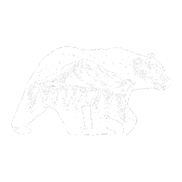 Northwest Multiple Listing Service (NWMLS): Complete Guide