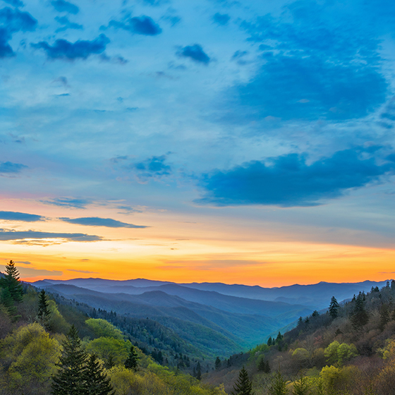 Lilly Realty - Homes for Sale in West Tennessee