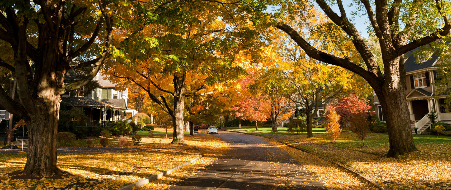 Lafayette Real Estate - Homes for Sale in Lafayette