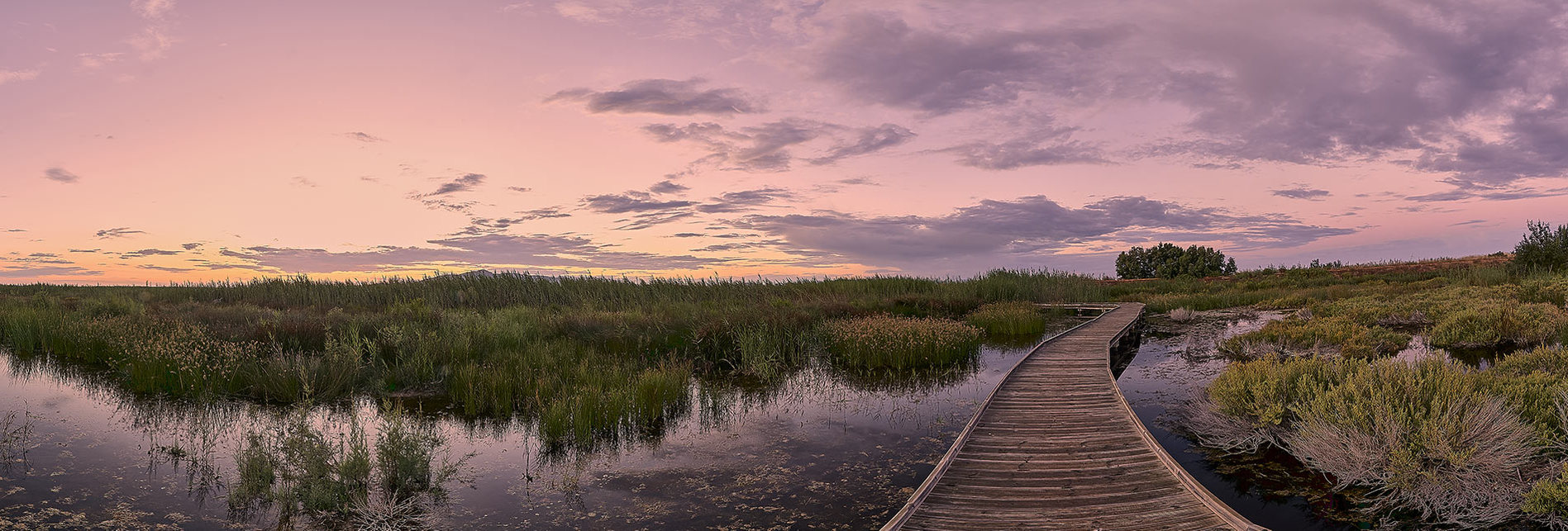 Belfair Homes for Sale - Belfair Real Estate