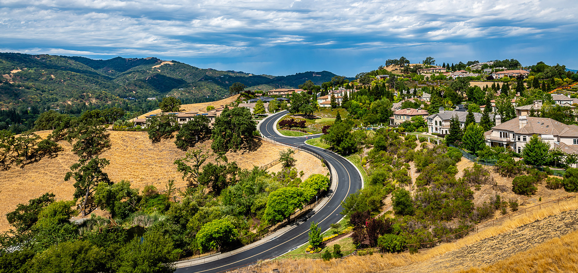 Happy New Year! Real Estate Reflection and Anticipation