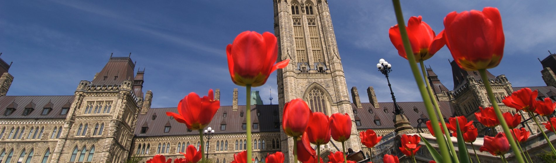 Constance Bay Homes for Sale - Constance Bay Real Estate