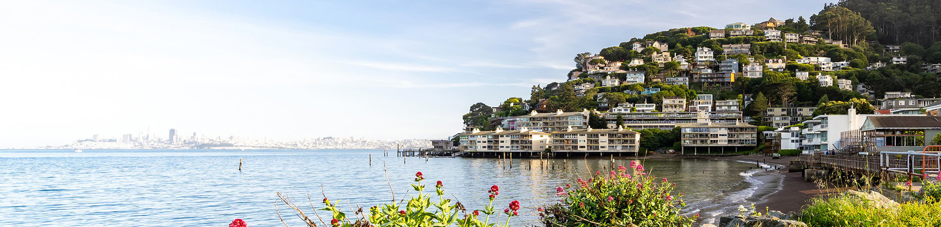 Bay Area Real Estate - Homes for Sale in the Bay Area - BayAreaModern.com