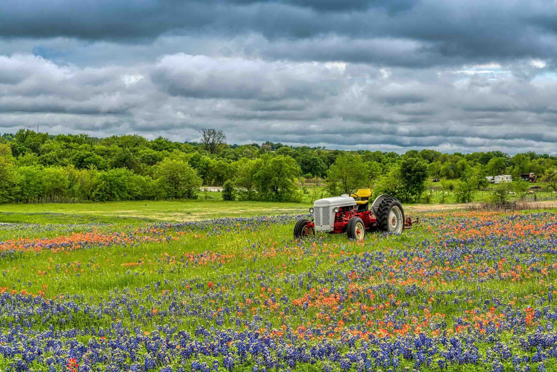Shaddock Homes Homes For Sale | Dallas Fort Worth Tx